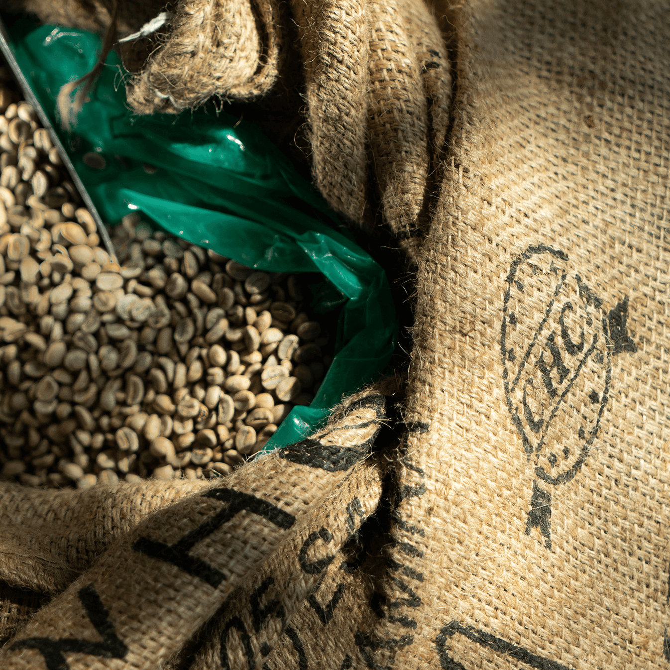 Café Verde en Grano Colombia - Alta Calidad